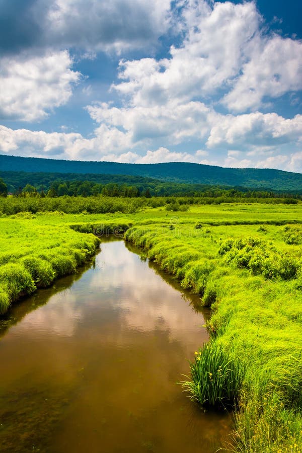 Small Stream and Distant Mountains at Canaan Valley State Park, Stock ...