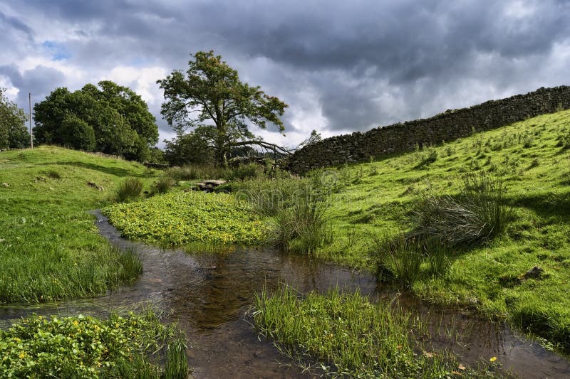Stream in English Lake District Stock Image - Image of river, hill ...
