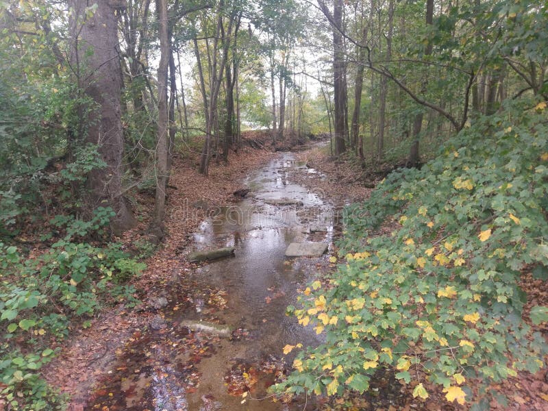 Small stream stock photo. Image of small, october, green - 101980630