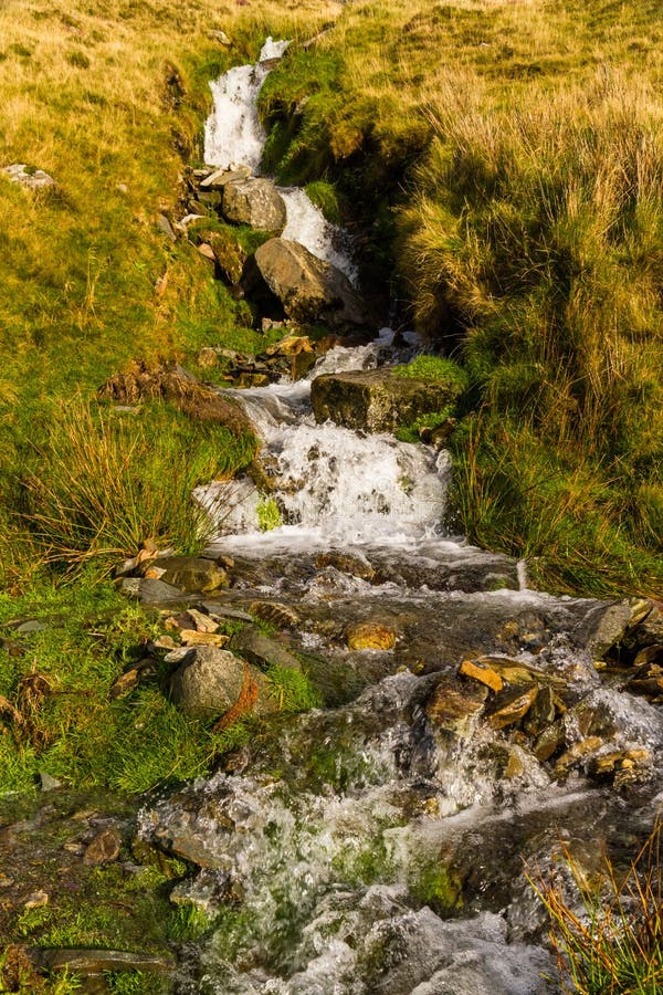 Small Stream in a Field after Rain Storm. Fast Shutter Stock Photo ...