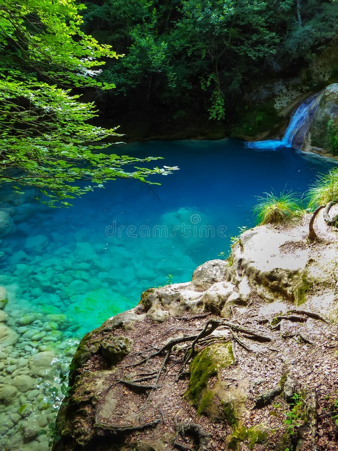 Fairytale Transparent Blue Water Stream into a Forest Stock Image ...