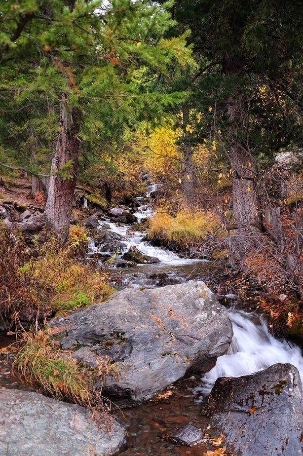 A Small Stream Flowing Down from the Mountain in a Rushing Stream ...