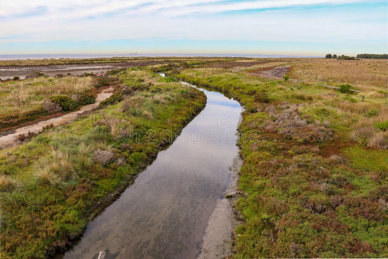 Small Stream Flowing through a Field. Stock Photo - Image of field ...