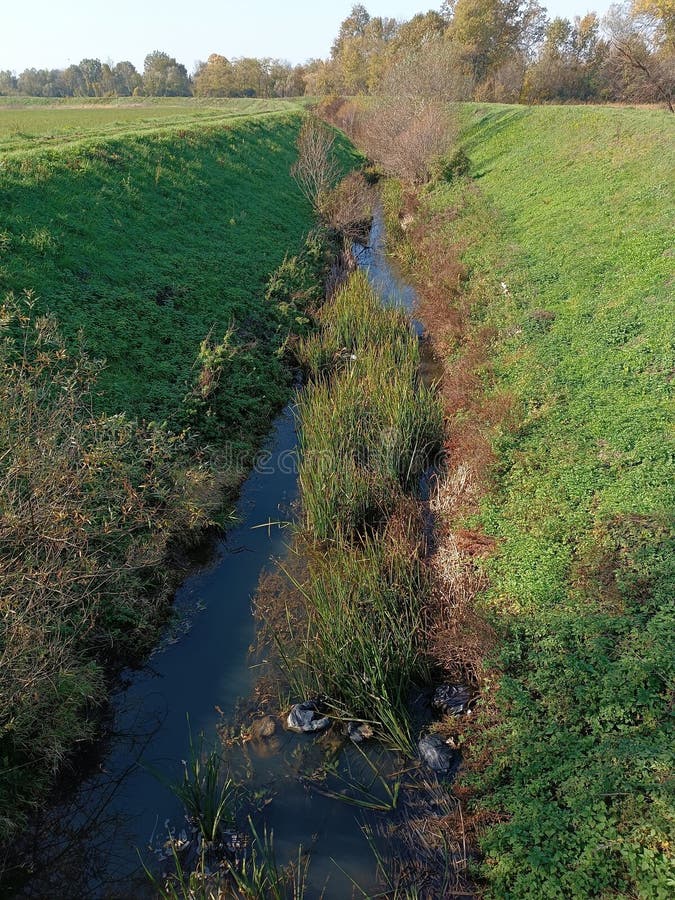 A Small Stream Flowing through Green Fields Stock Image - Image of ...