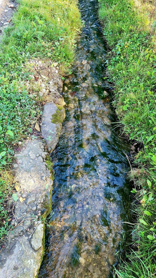 A Small Stream Flowing on the Lawn Stock Photo - Image of small, stream ...