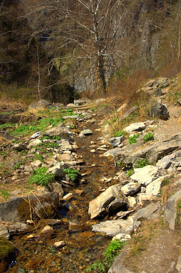A Small Stream Flowing from the Mountains through the Gorge in the ...