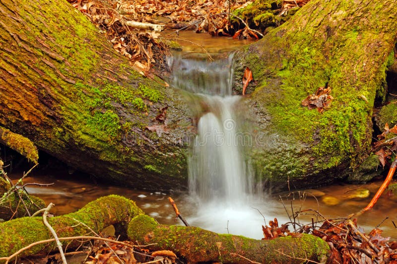 Small Stream Flowing Over a Tree Trunk Stock Photo - Image of tennessee ...