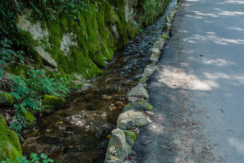 Small Stream Flowing beside Paved Rural Road Stock Photo - Image of ...