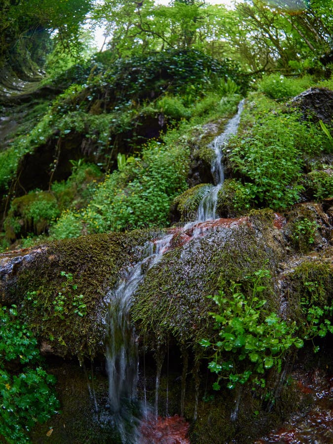 A Small Stream Flows Down the Moss-covered Mountainside Stock Image ...