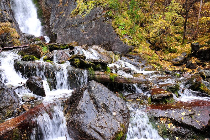 A Small Stream Flows Down from the Mountain, Bending Around the Fallen ...
