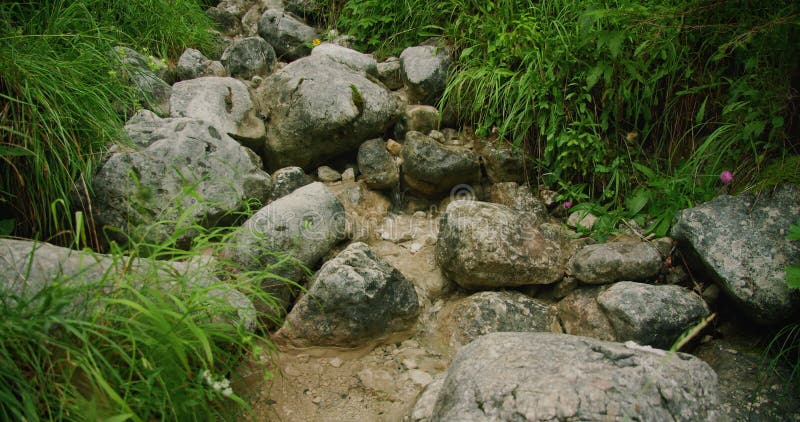 A Small Stream Flows through Rocks Surrounded by Lush Green Grass and ...
