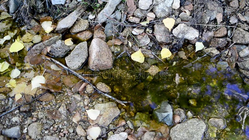 A Small Stream of Water Flows Over a Rock Wall Stock Footage - Video of ...