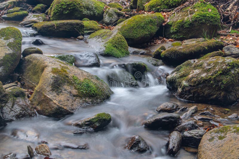 A Small Water Fall in a Europen Forest Stock Image - Image of rock ...