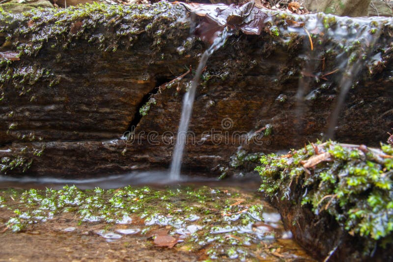 A Small Water Fall in a European Forest Stock Photo - Image of nature ...
