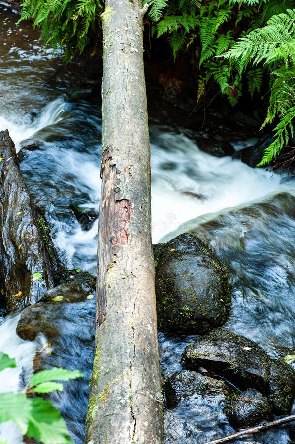Small Stream in Forest with Waterfall Over Small Rocks Stock Image ...