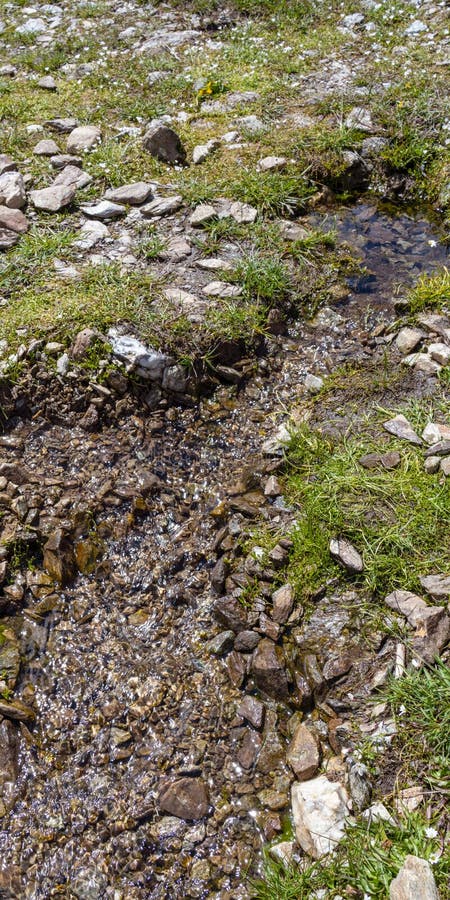 A Small Stream Formed by Melting Snow in Summer on the Mountain. North ...