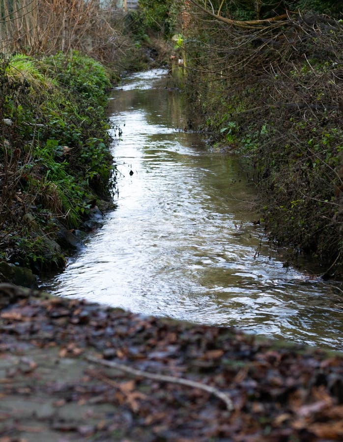 Small Stream between the Grasses, Bridge in the Foreground. Stock Photo ...