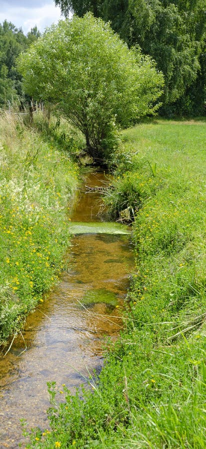 Meadow with a Brooklet, Summertime. Stock Photo - Image of creek ...