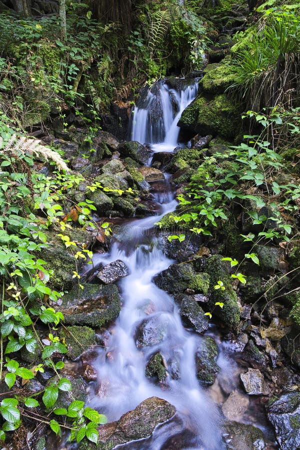 Badrippoldsau Stock Photos - Free & Royalty-Free Stock Photos from ...