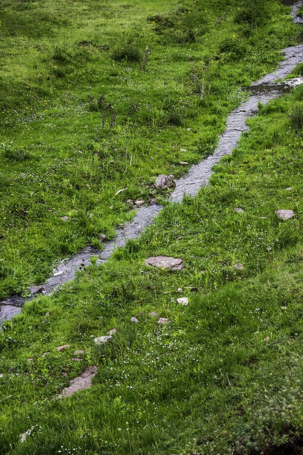 A Small Stream on the Meadow Stock Photo - Image of blue, environment ...