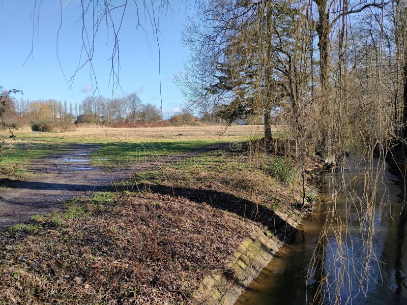 Small Stream Meandering through a Field with Towering Trees on Its Side ...