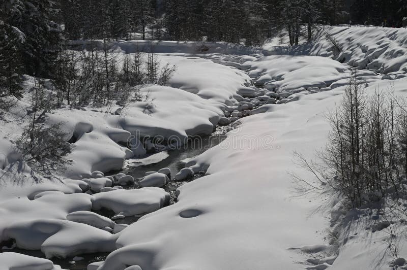 A Small Stream in a Snowy Landscape Next To Tall Trees Stock Image ...