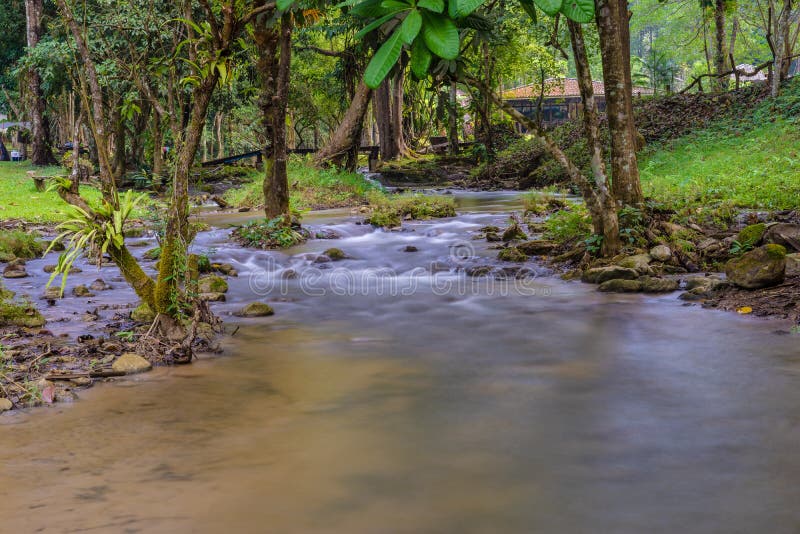 Small stream from mountain stock photo. Image of summer - 150150856