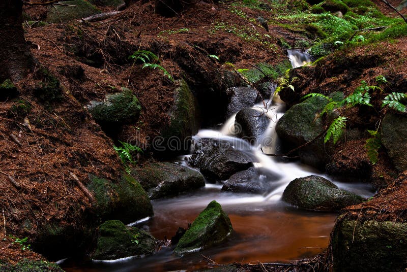 Small Stream, Leading through Forest Ground and Stones with Moss Stock ...