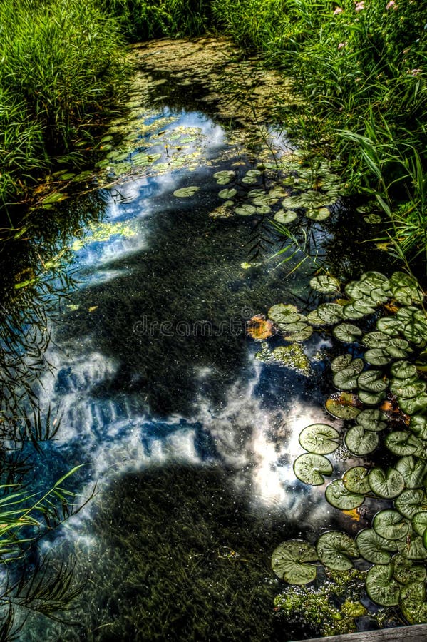 Small stream in a park stock image. Image of park, highly - 74454585