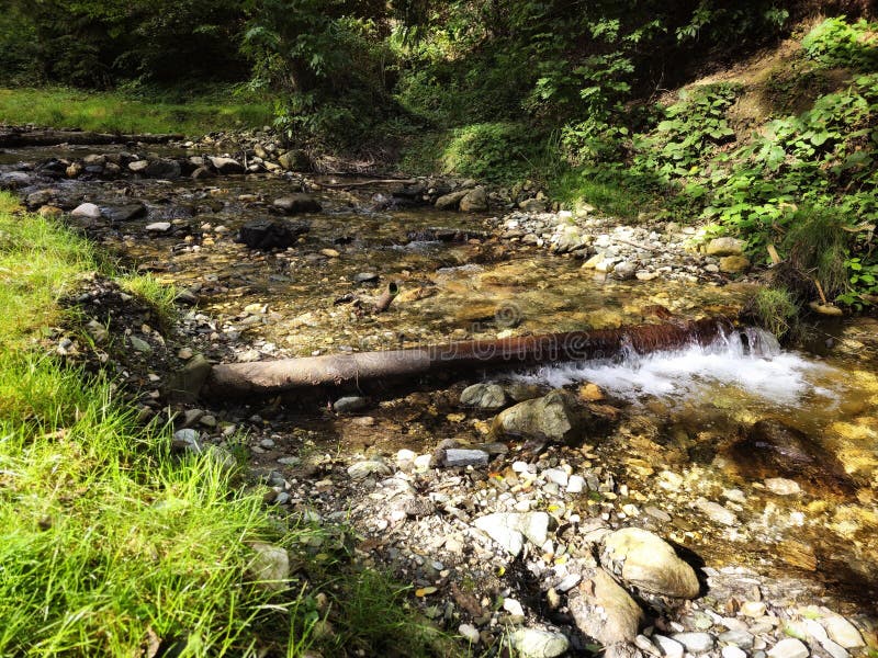 Small Stream at the Plaiul Foii Area Stock Image - Image of plaiul ...