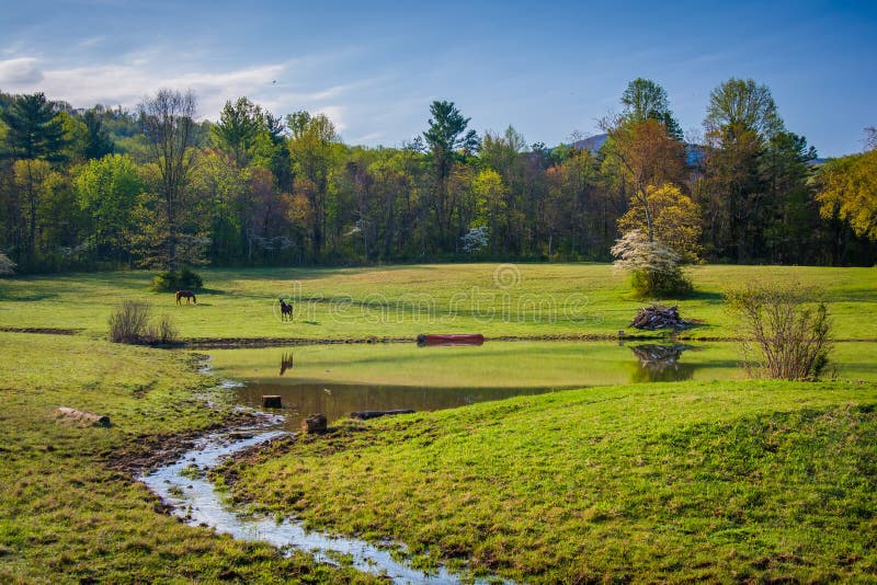 Virginia House on Hill Landscape Stock Photo - Image of north ...