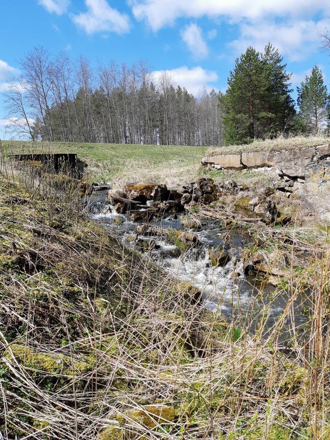 Small stream with rapids stock photo. Image of environment - 251377840
