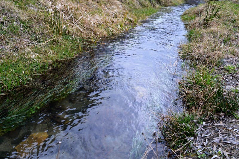 Small Stream and a Reflection in it Stock Image - Image of details ...