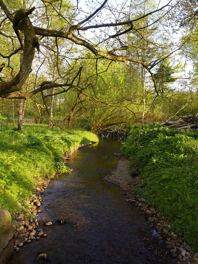 Small stream or river stock image. Image of creek, environmental - 647143