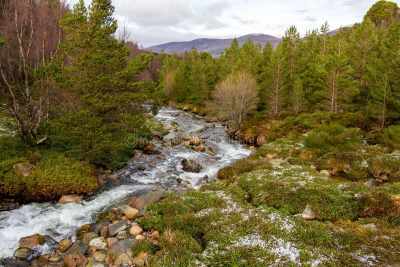 Small Stream of River Running through Trees in the Woods Stock Photo ...