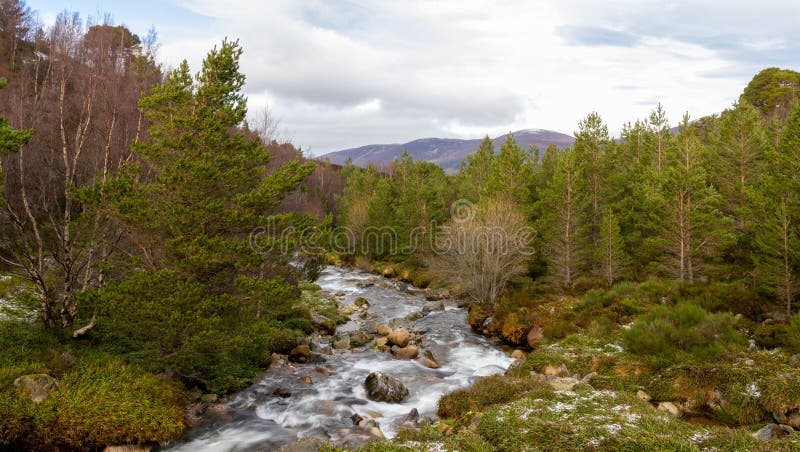 Small Stream of River Running through Trees in the Woods Stock Photo ...