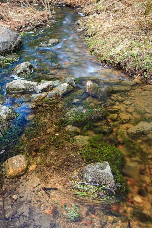 Small stream and rocks stock photo. Image of forest - 112619806