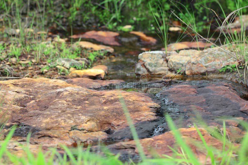 Little Stream on Rainy Season Stock Photo - Image of forest, flow ...