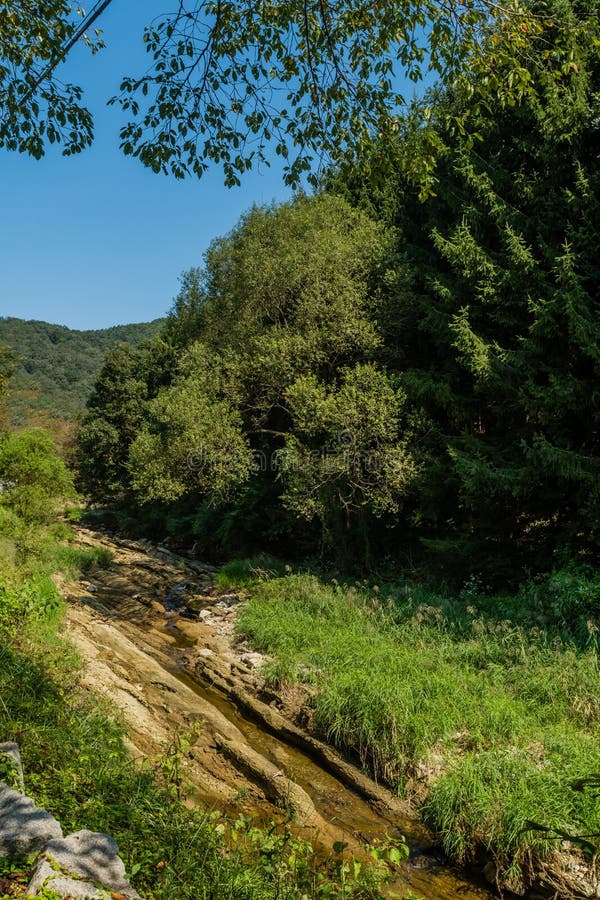 Small Stream Running through Mountainous Wilderness Park Stock Image ...