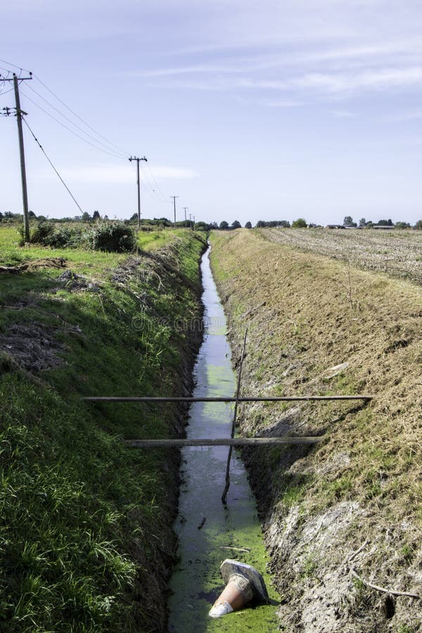 Field Stream stock image. Image of countryside, boggy - 158877293