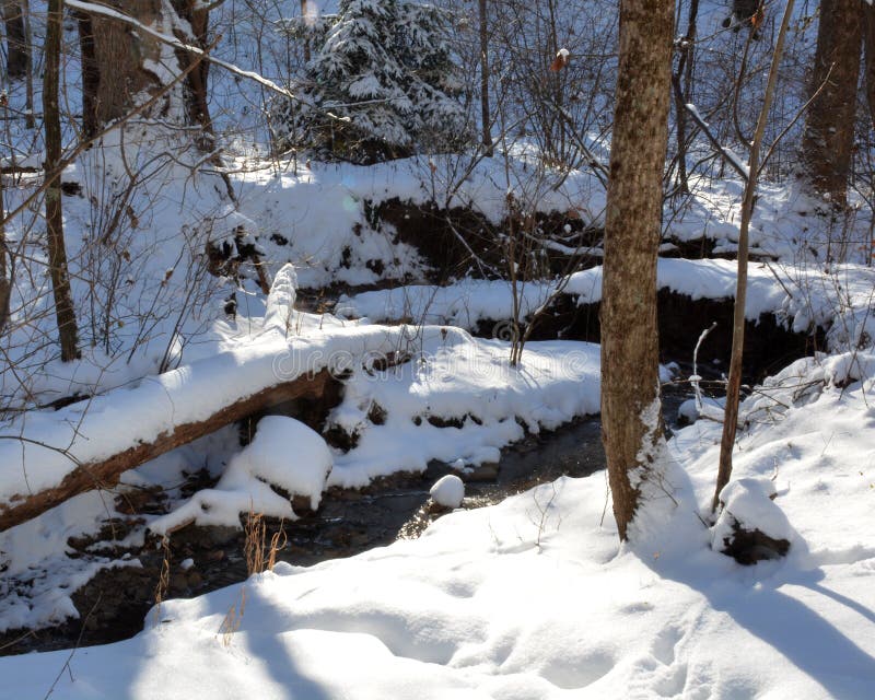 Winter Stream stock image. Image of snow, creek, winter - 57633