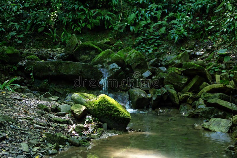 A Small Stream among the Stones. Stock Image - Image of water ...