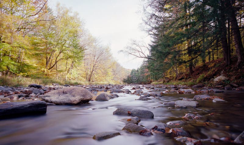 A Small Stream Strewn with Rocks Flows Calmly into the Distance Stock ...