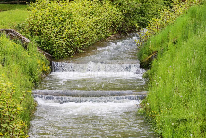 Small Stream in Summer. Grass Around the Riverbed Stock Image - Image ...