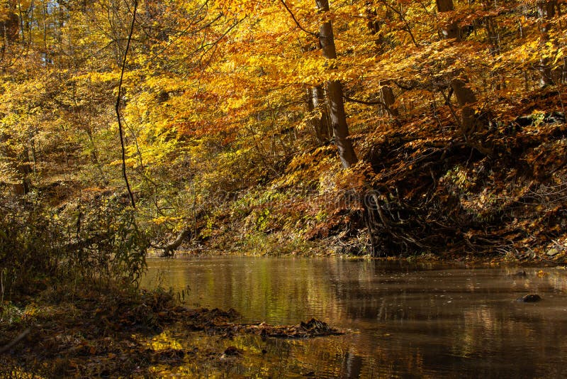 Small Stream on a Sunny Fall Day Stock Image - Image of creek ...