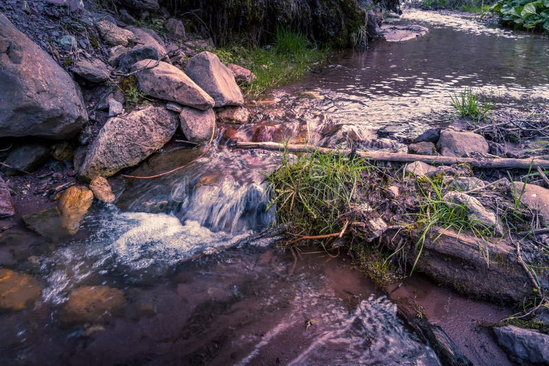 A Small Stream in the Swiss Alps Stock Image - Image of beautiful ...