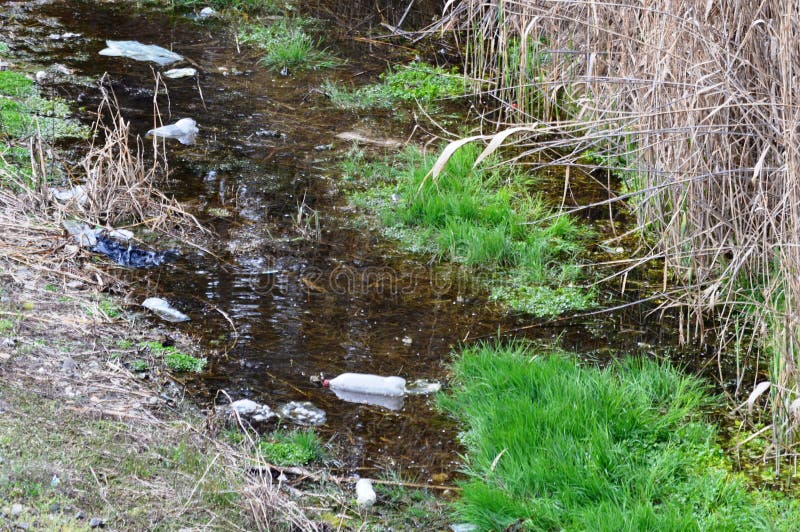Small Stream and Trash in the Water Stock Image - Image of watercourse ...