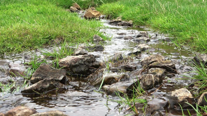 A Small Stream in a Typical Icelandic Landscape with Some Greenery ...