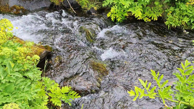 A Small Stream in a Typical Icelandic Landscape with Some Greenery ...