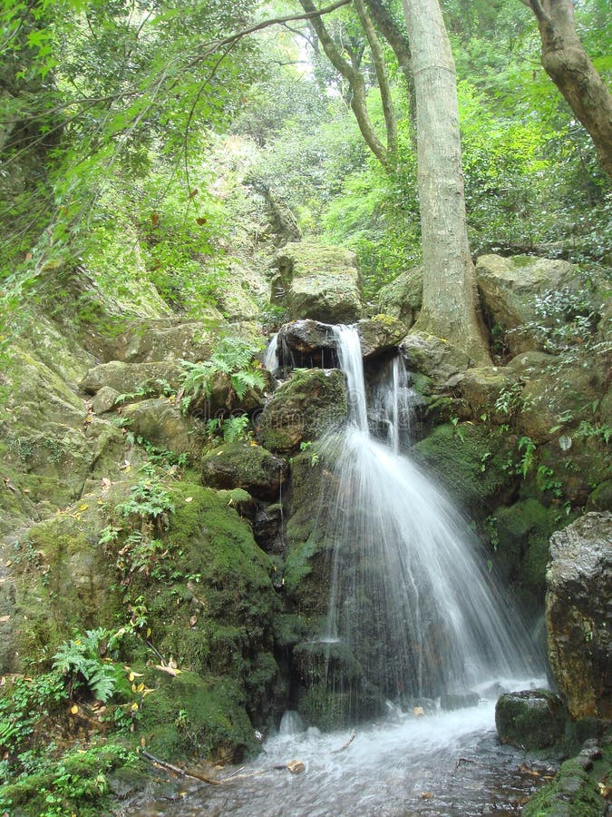 Small stream water fall stock photo. Image of asia, water - 3641620